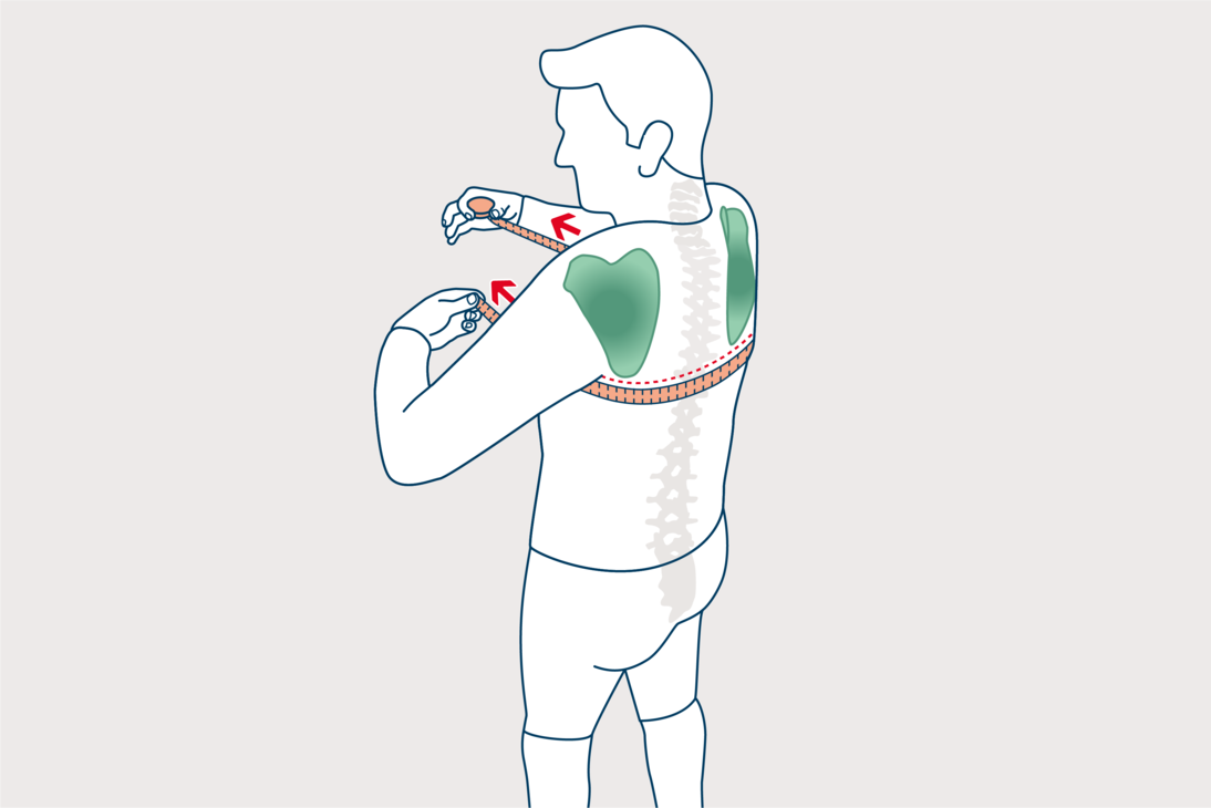 📏 How to measure your back length