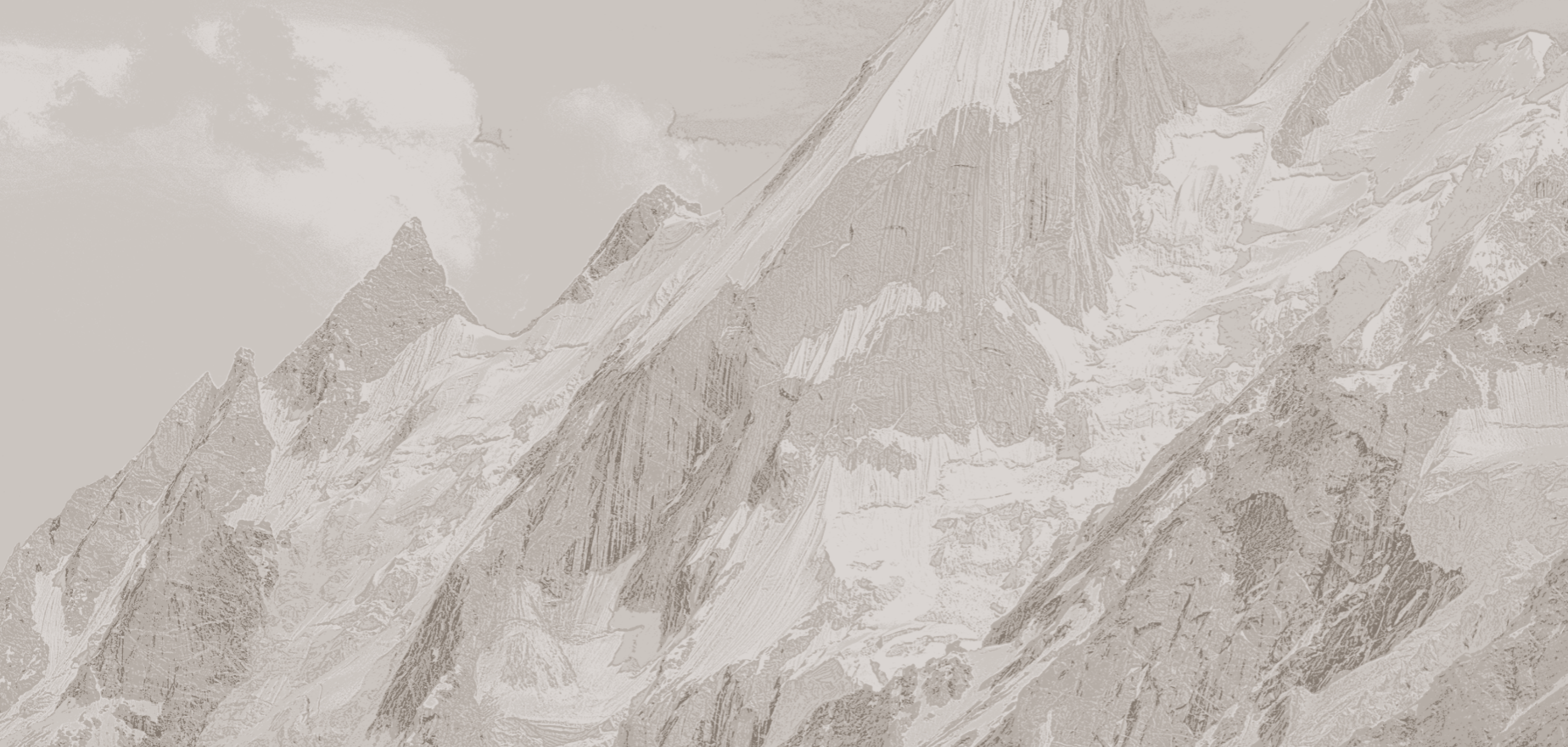 deuter Duffel Pro Pack 30 | Reiserucksack